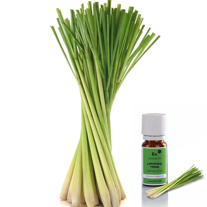 Izjemno koristno eterično olje limonske trave